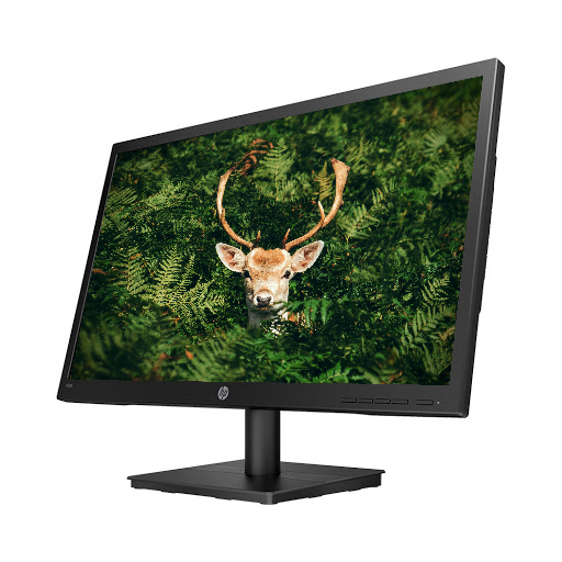 Màn hình LCD HP 22 inch V220 - 4CJ27AA(FHD/TN/60Hz/5ms)
